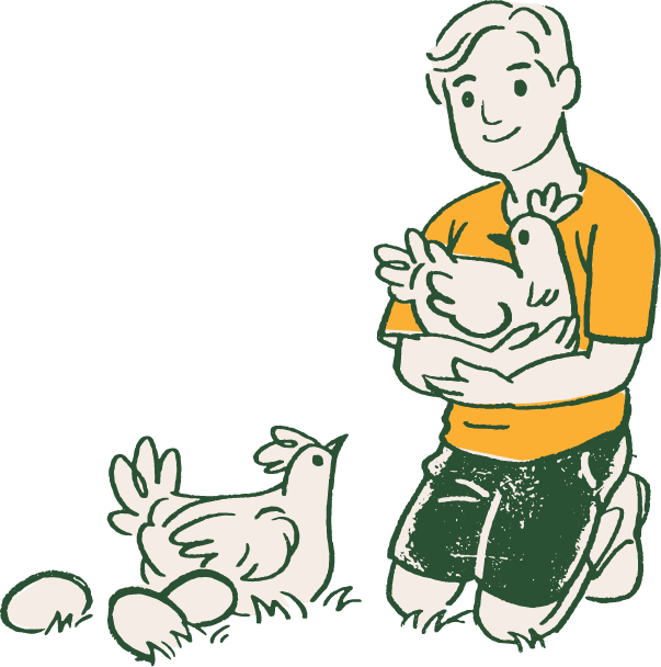 Welcome To Fyfe Family Eggs