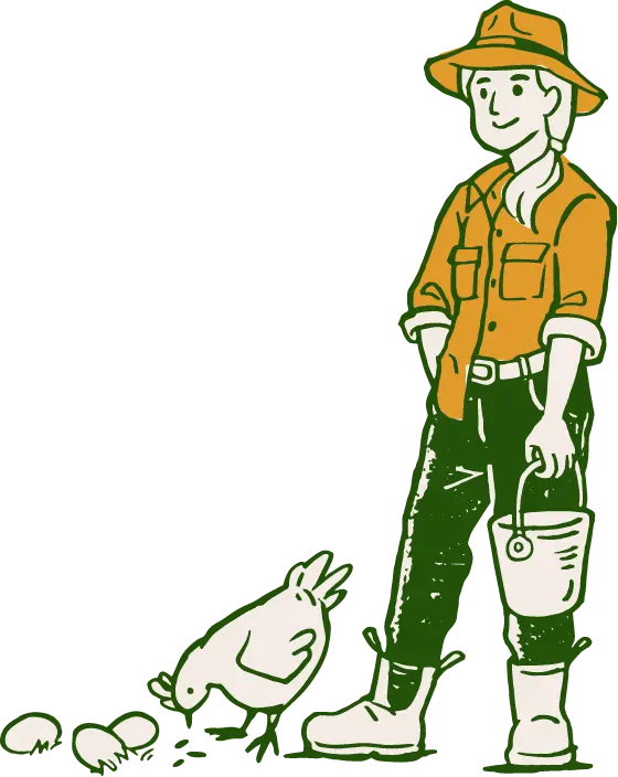 Welcome To Fyfe Family Eggs