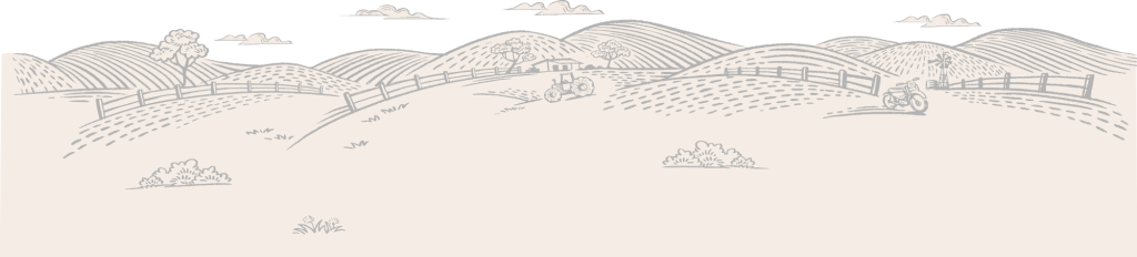 Welcome To Fyfe Family Eggs